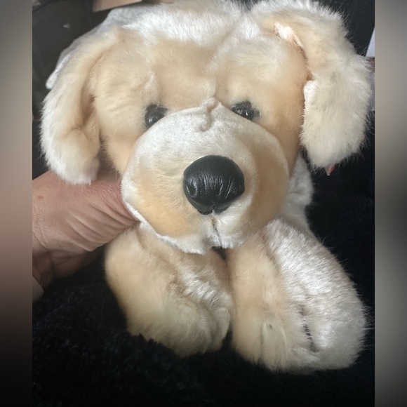 GANZ | Toys | Golden Retriever Plush Ganz Dog Looks Like Webkinz | Poshmark